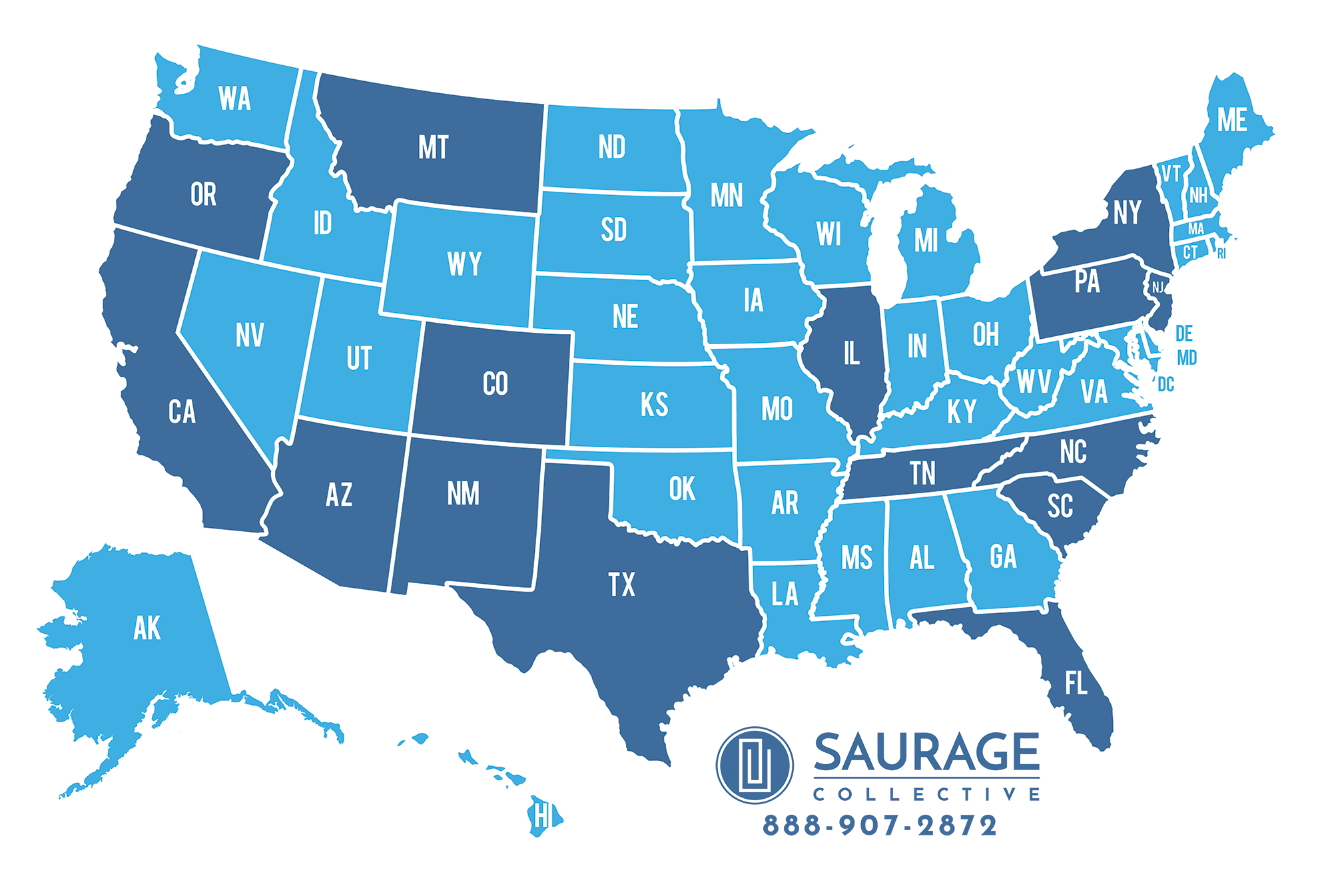 Saurage Collective's Story - Saurage Collective